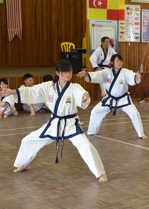 Tang Soo Do Selangor | All About Tang Soo Do